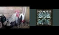 death metal rooster [Meshuggah] - Youtube Multiplier
