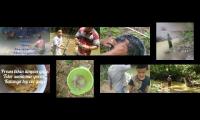 Mancing di sungai, mancing bareng, mancing lele liar, mancing top, mancing mantap, mancing di ...