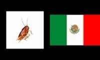 The Mexican Cockaroach Dance of Madness - Youtube Multiplier