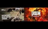 Doom Secretary Birds - Youtube Multiplier
