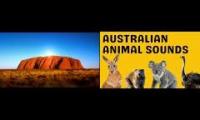 Austrailian Outback Theme Song - Youtube Multiplier