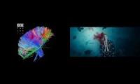 Muse - Supremacy x Skyfall - Youtube Multiplier