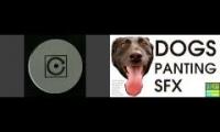 music dog man man man man man - Youtube Multiplier
