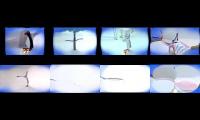 pingu japanese dvd outro fat x 8 parison powers - Youtube Multiplier
