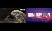 Run, Lizard, Run (Lizard running from snakes) - Youtube Multiplier