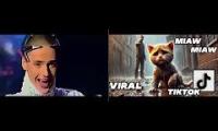 meow meow meow meow weird russian singer meow meow sad - Youtube Multiplier