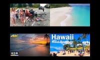 view of sunsets 12345678940 - Youtube Multiplier