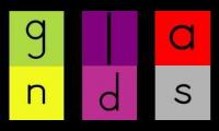 Have Fun Teaching Word Glands - Youtube Multiplier