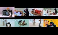 the pingu pingu dance - Youtube Multiplier