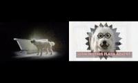 Flash Dog 2016 Advert Does Respond. - Youtube Multiplier