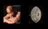(613) EL-KHING / Tupac / War Ready - Youtube Multiplier