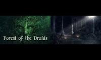 Exploring the twilight grove v1 - Youtube Multiplier