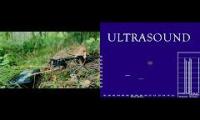 Gravis Ultrasound mushroom music pouet sceneorg GUS - Youtube Multiplier