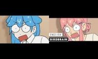 Birdbrain Bao And Juby Cover Multiplier